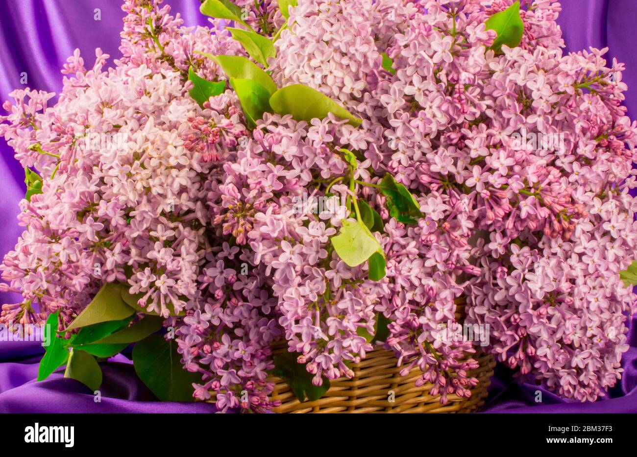 natural background with spring flowers Stock Photo - Alamy