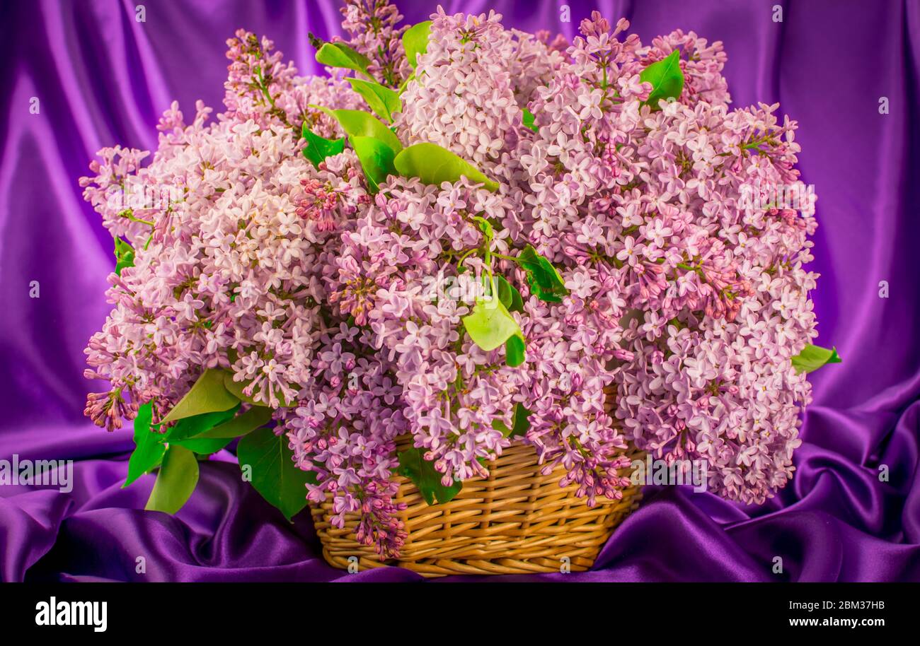 natural background with spring flowers Stock Photo - Alamy