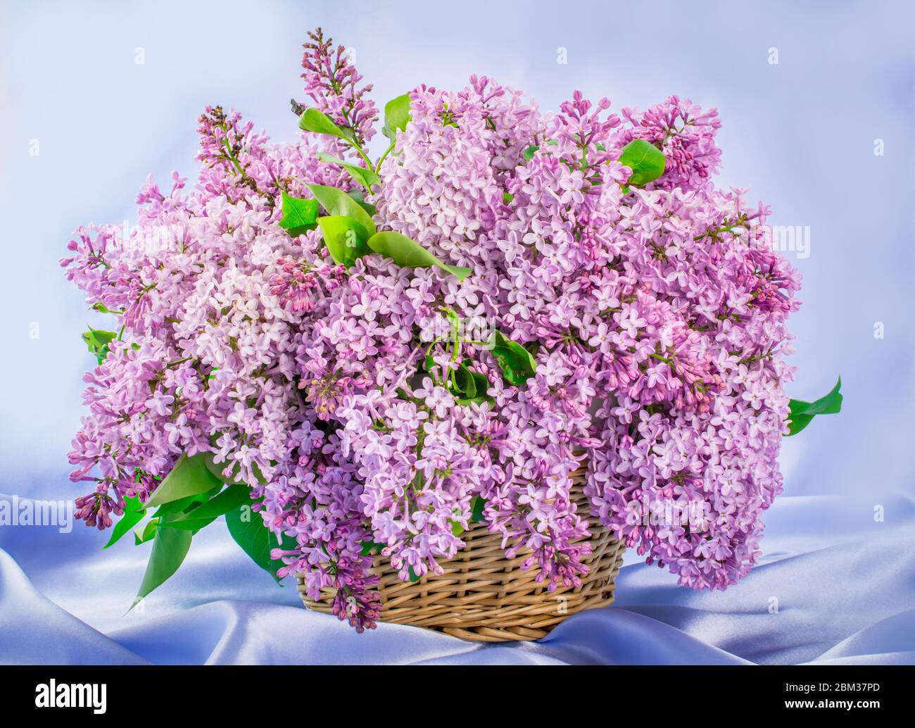 natural background with spring flowers Stock Photo - Alamy