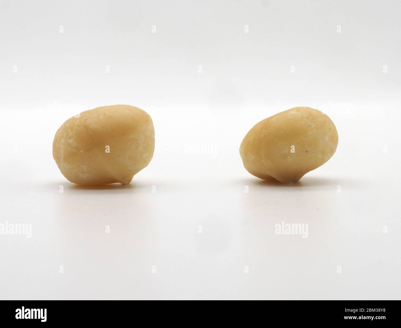 Two Macadamia Nuts Side By Side On A White Background, London, UK Stock ...