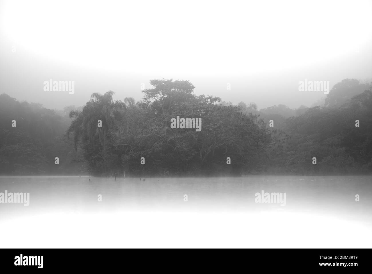 Foogy day at the lake, in black and white Stock Photo - Alamy