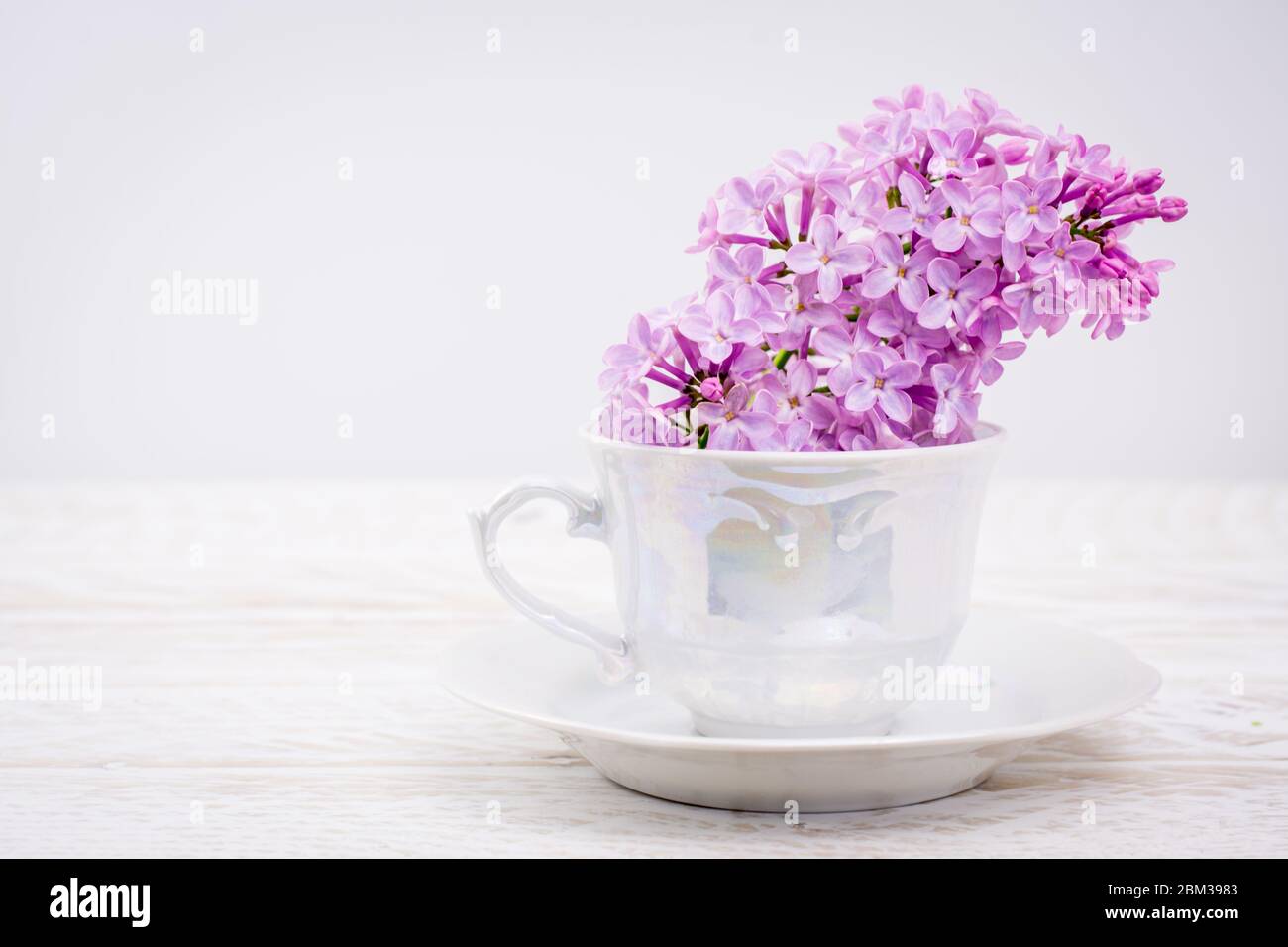 beautiful spring lilac flowers Stock Photo - Alamy