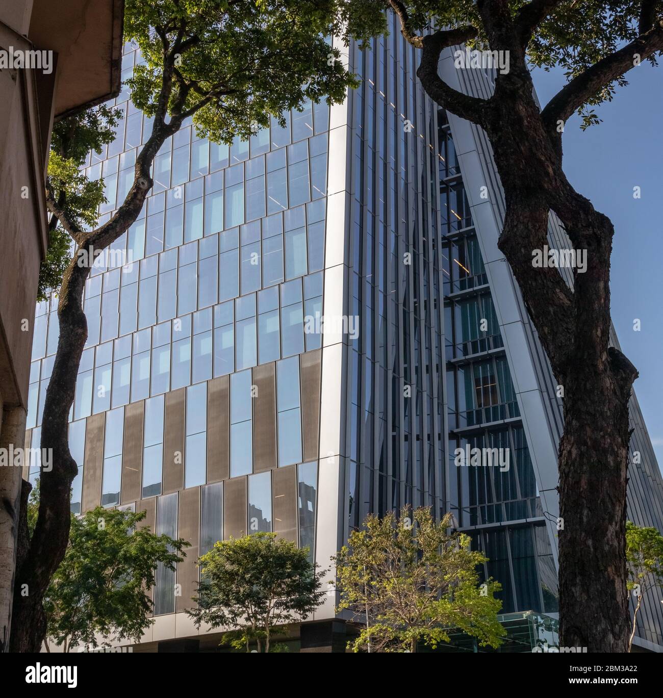 Glass and metal business building, seen through trees, downtown Rio de ...