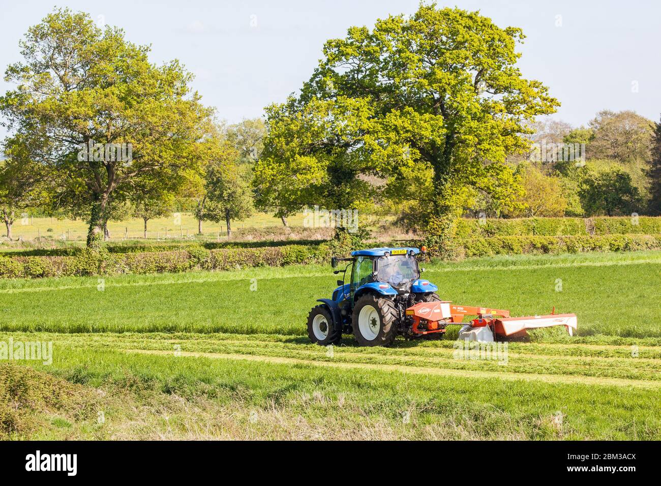 Grassland Cutting High Resolution Stock Photography and Images - Alamy