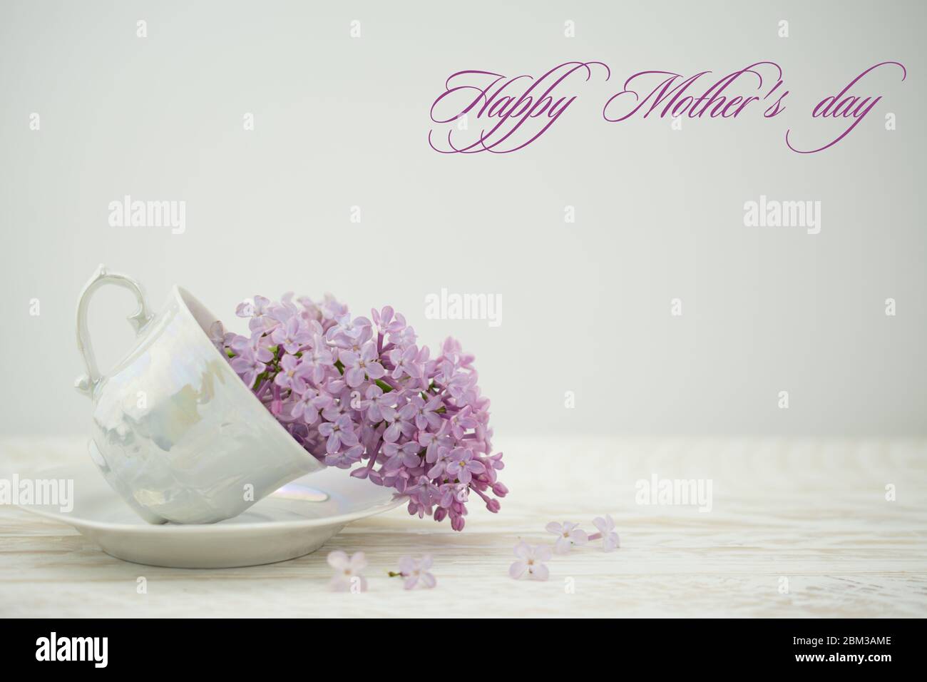beautiful spring lilac flowers in cup Stock Photo - Alamy