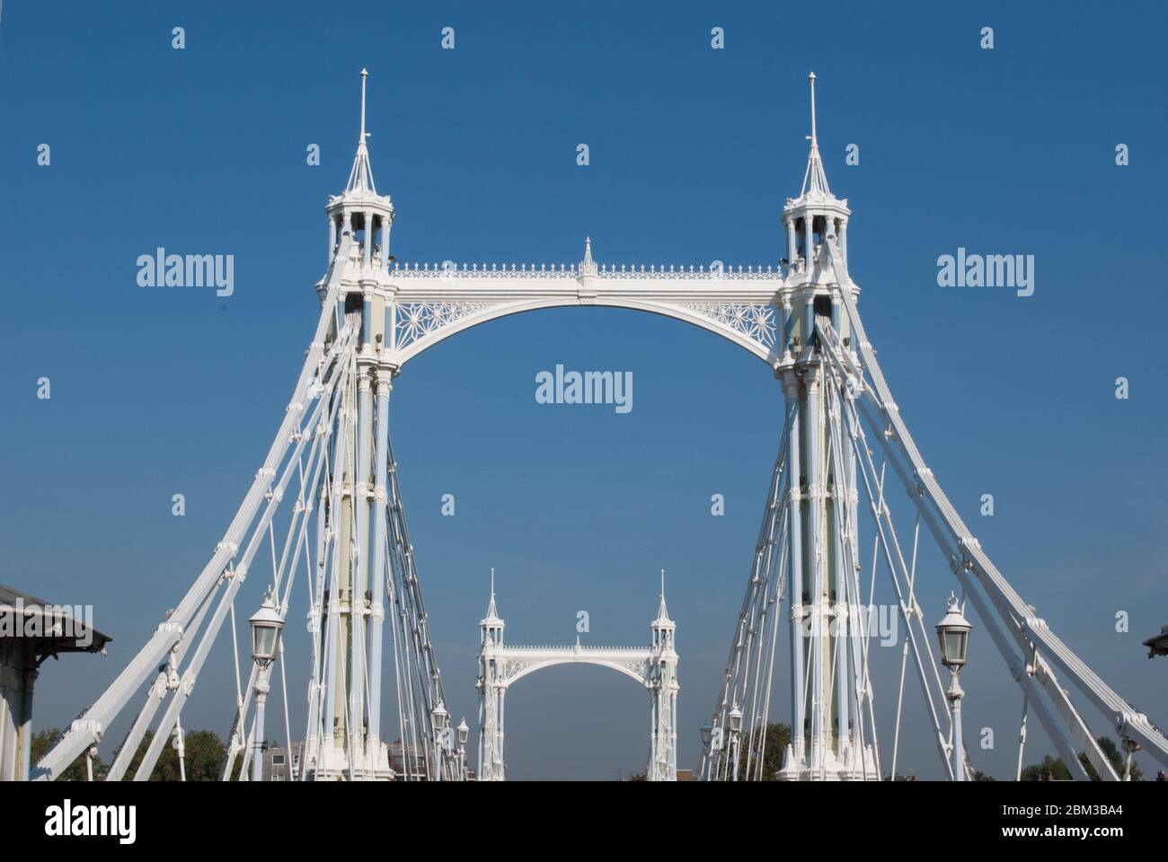 Suspension Bridge Structure Architecture Traditional Albert Bridge ...