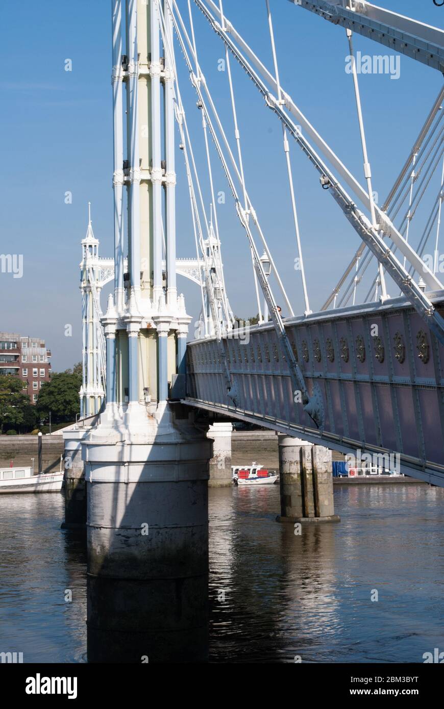 Suspension Bridge Structure Architecture Traditional Albert Bridge ...