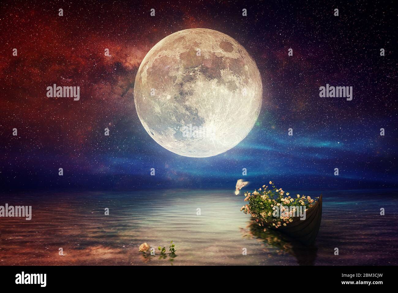 Fantasy starry night sea after sunset, boat full of flowers, pigeon ...