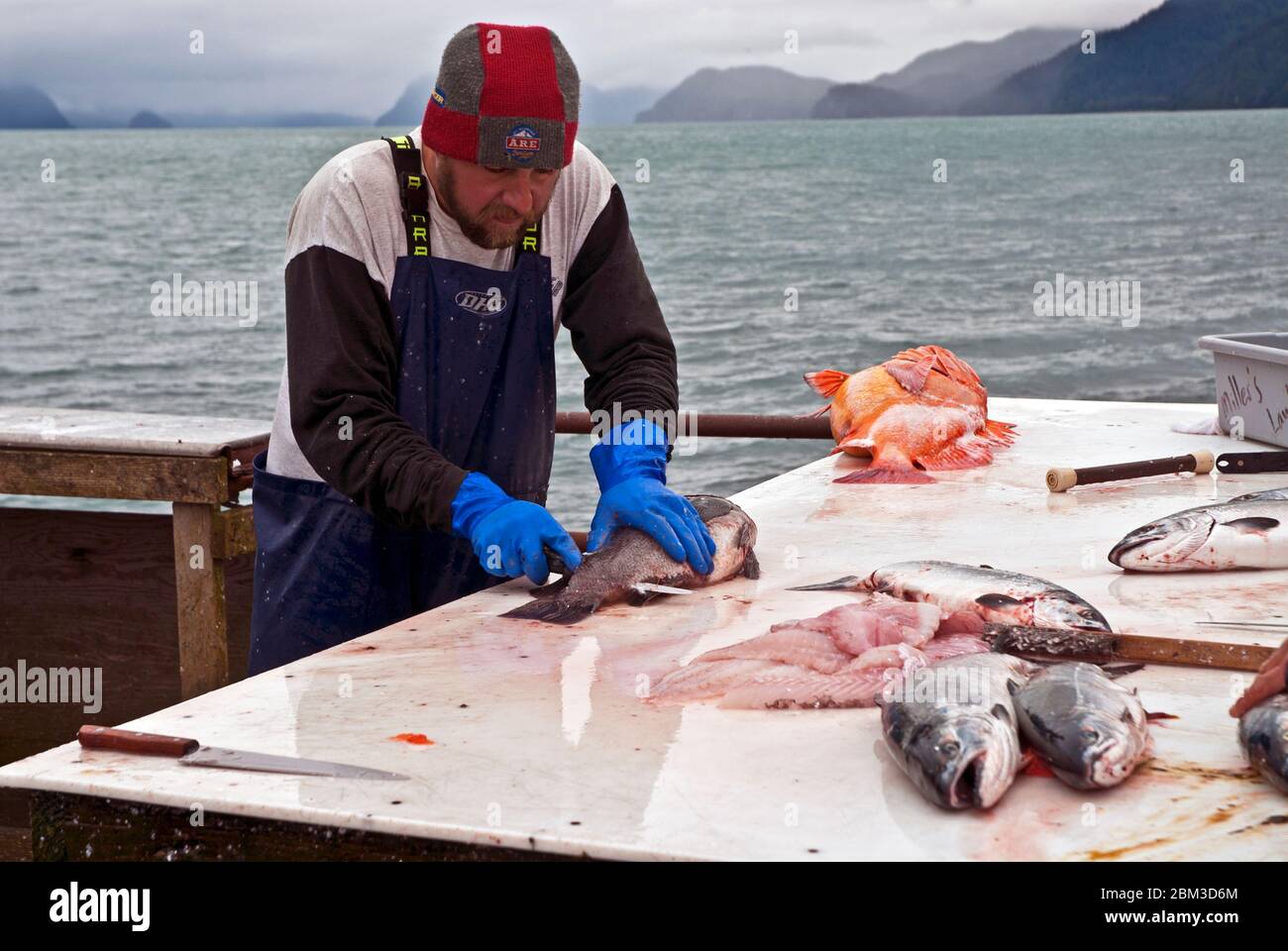 Fish cleaning hi-res stock photography and images - Alamy