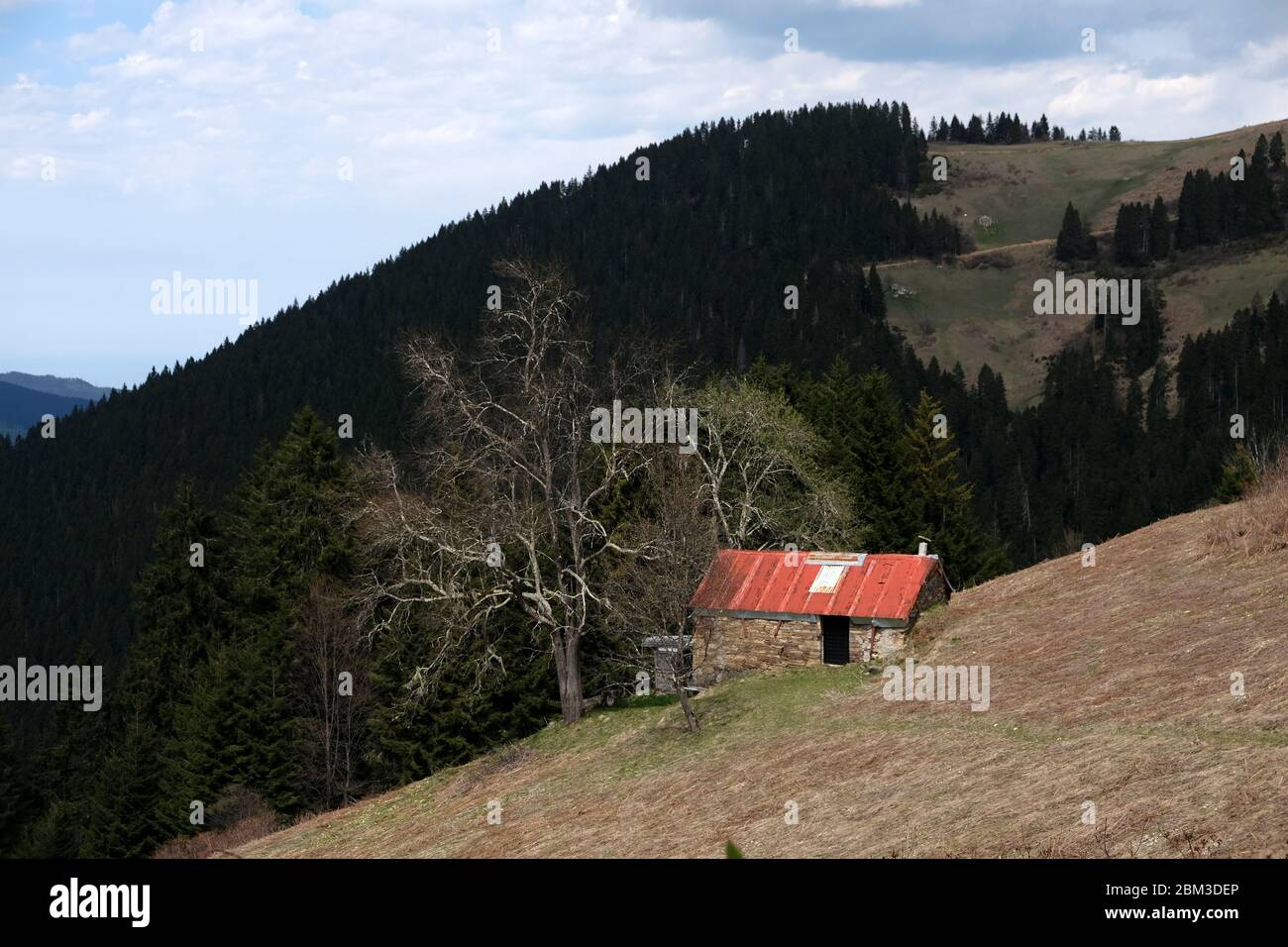Traditional house used in summer months in the highlands of Maçka ...