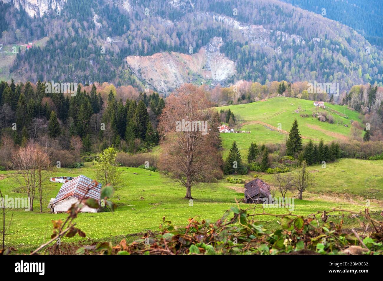 rural landscape from the ormanüstü village of macka district of trabzon ...