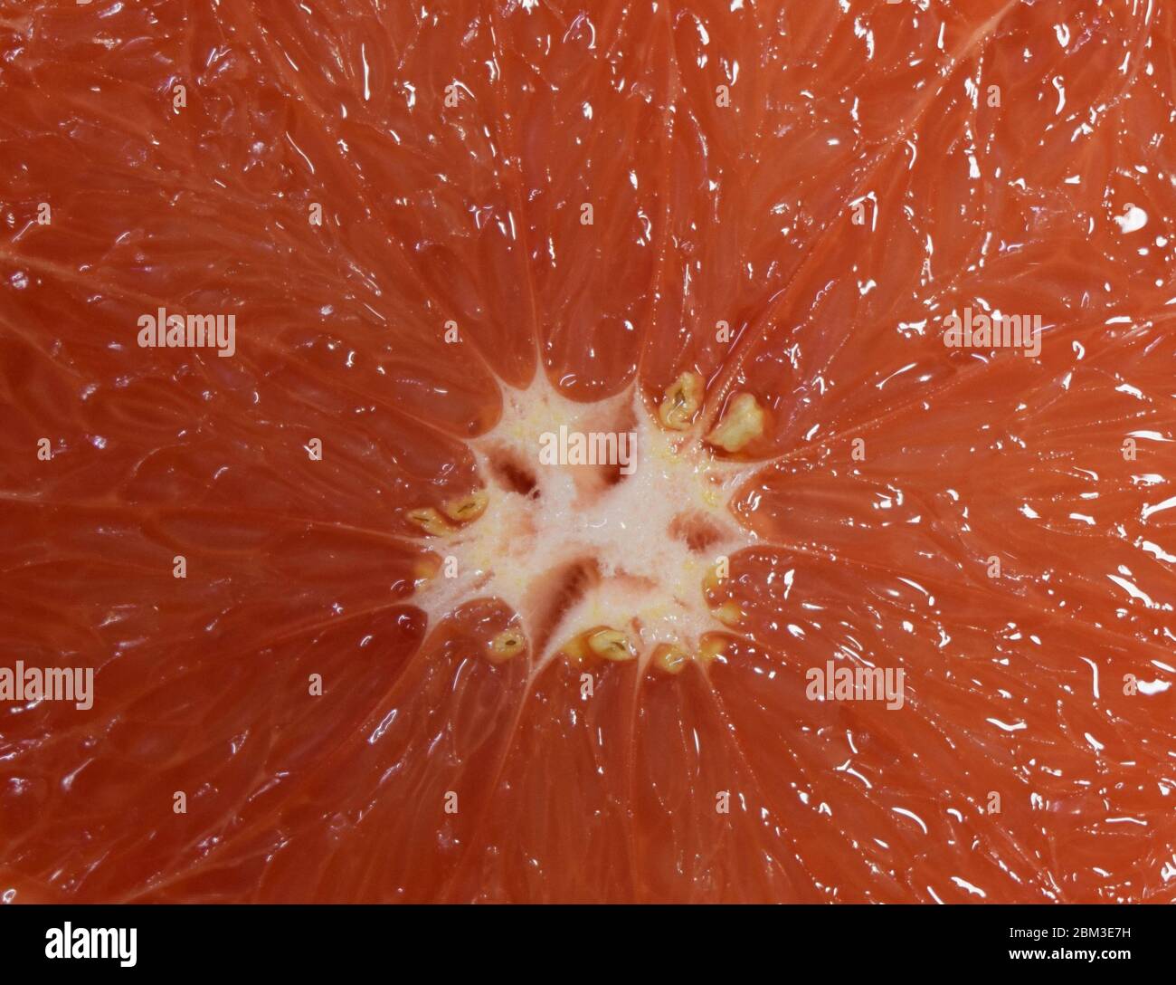 Texture of grapefruit slice, close-up, citrus backgrounds. Macro of red ...