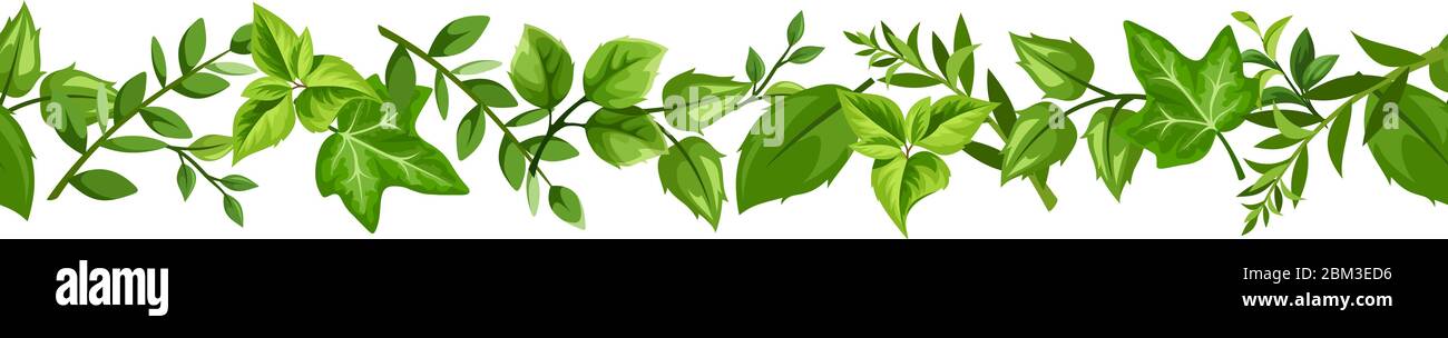 Vector horizontal seamless border with various green leaves Stock ...