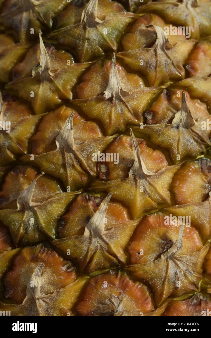 Macro close up of pineapple. Photo food product tropical fruit ...