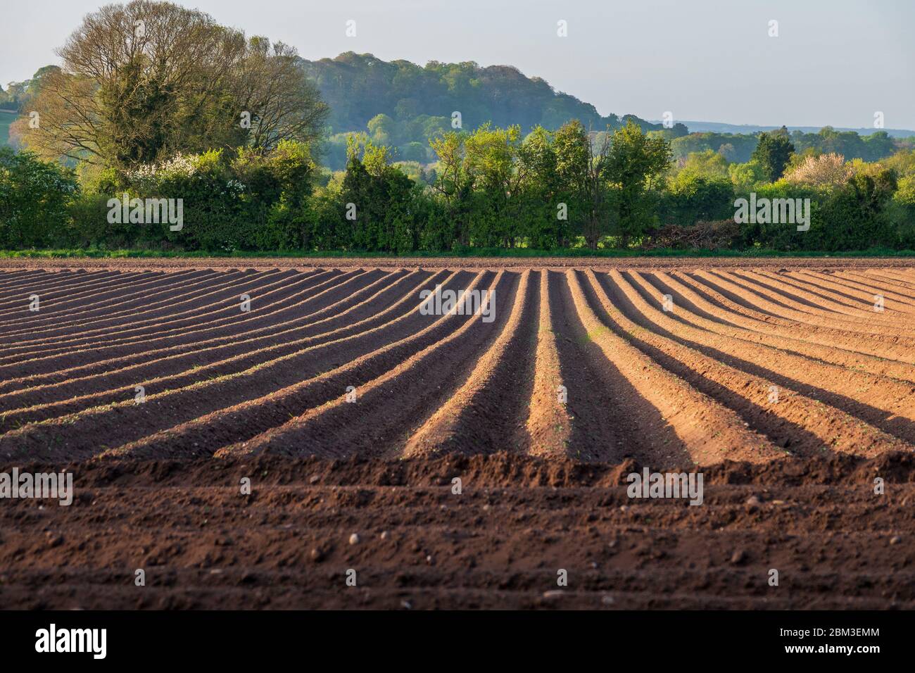 Field ploughed rows brown hi-res stock photography and images - Alamy