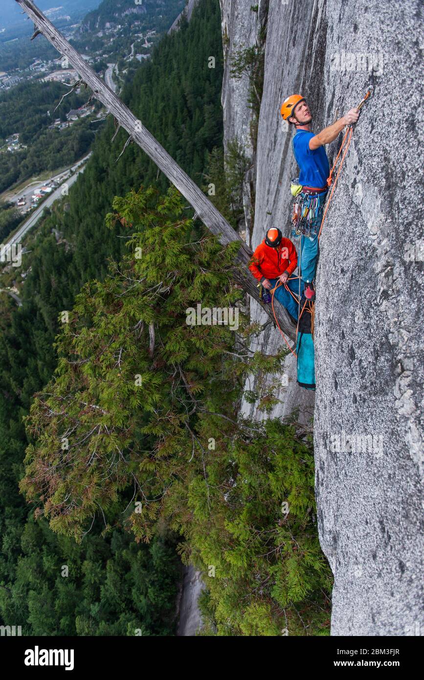 Two men rock climbing while belaying from hanging tree on exposed wall ...