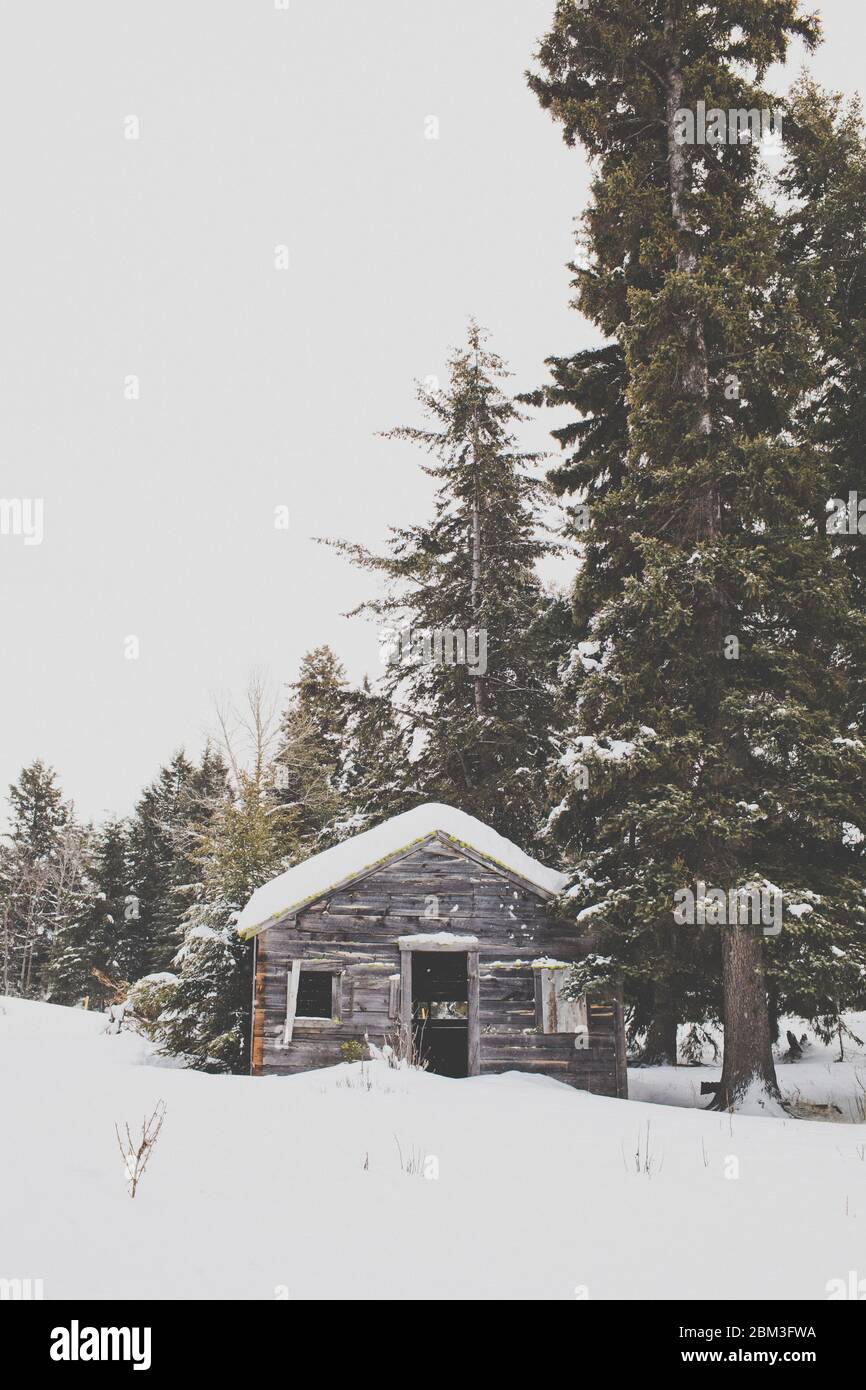 Trappers cabin hi-res stock photography and images - Alamy