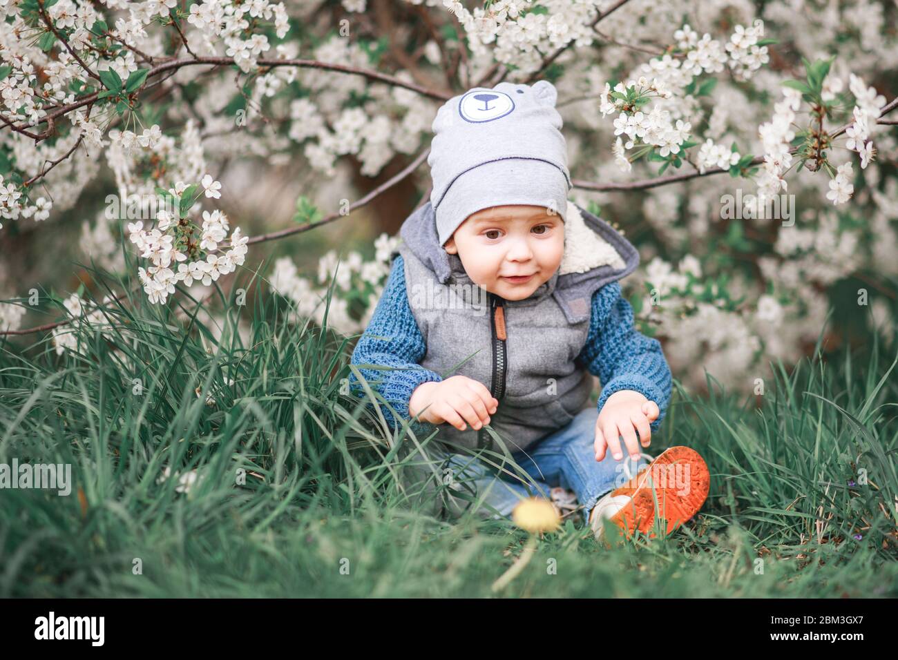 A boy walks in the garden with flowering trees. Spring breath Stock ...
