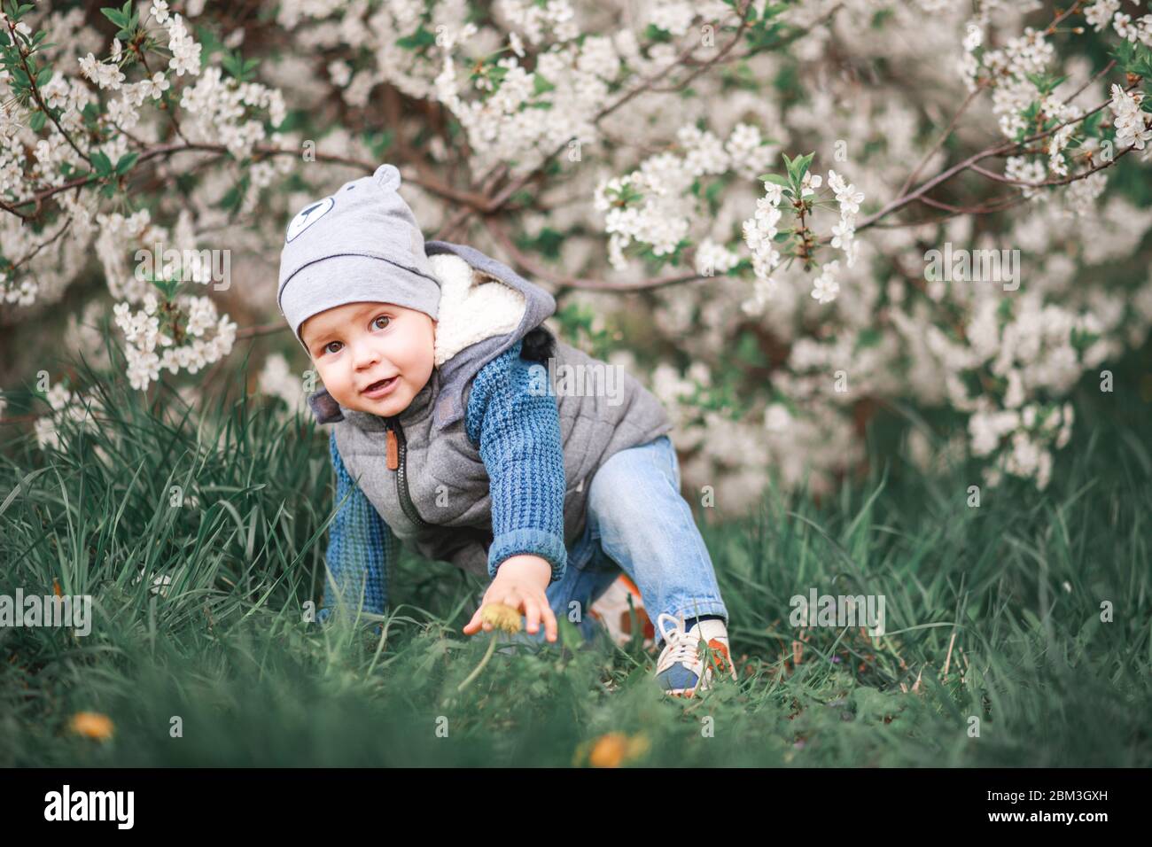 A boy walks in the garden with flowering trees. Spring breath Stock ...
