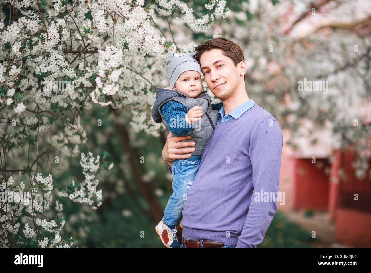 A father and a little boy are having fun near the cherry blossom trees ...