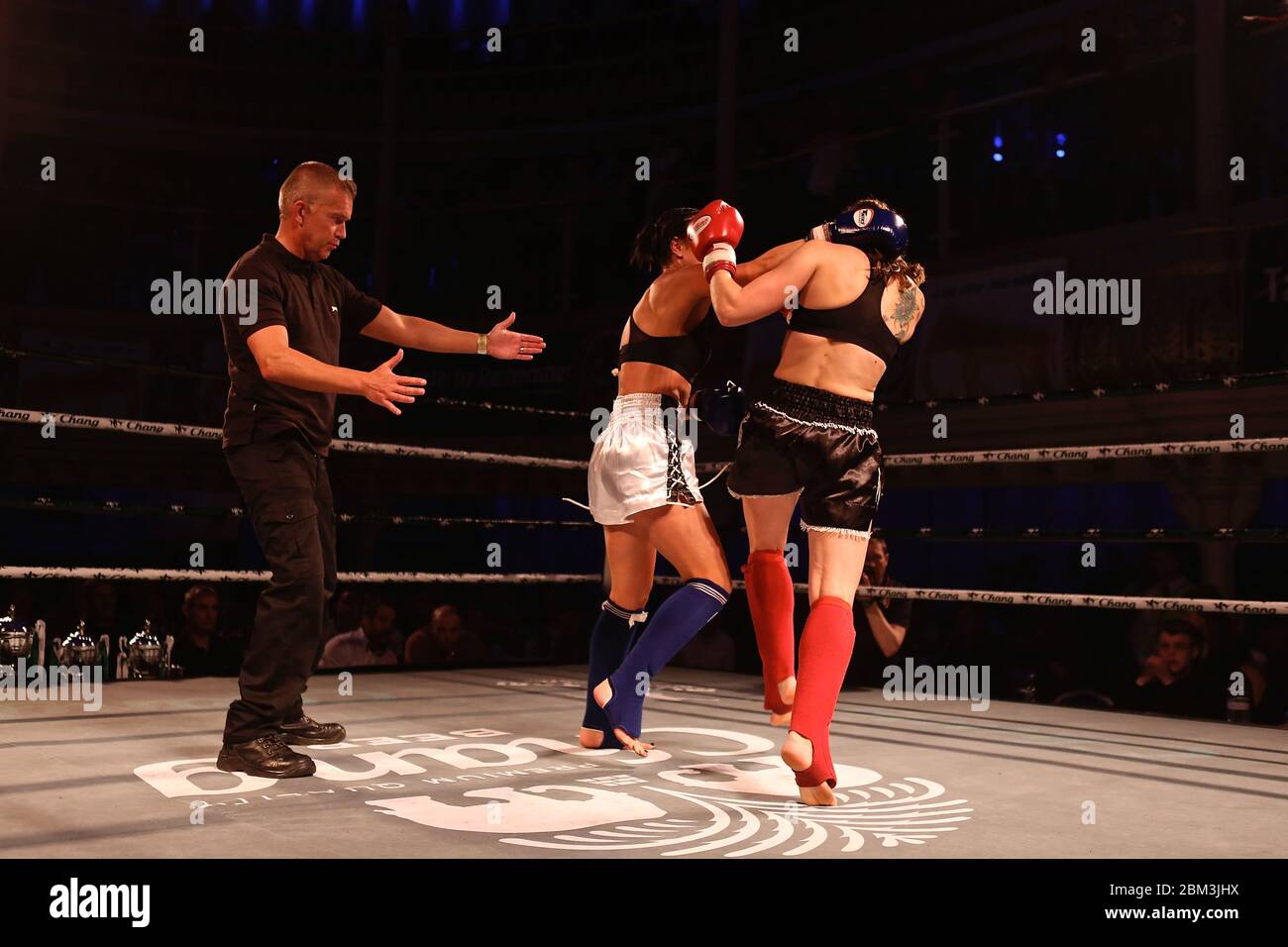 Muay Thai World Series National Chang Cup 2013. Championship involving ...