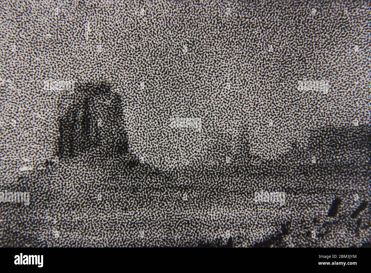 Fine 1970s vintage black and white photography of the beauty of nature ...