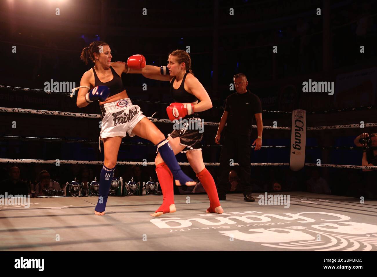 Muay Thai World Series National Chang Cup 2013. Championship involving ...