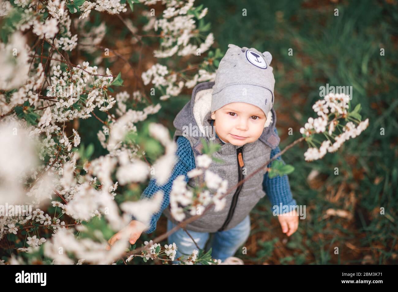 A boy walks in the garden with flowering trees. Spring breath Stock ...