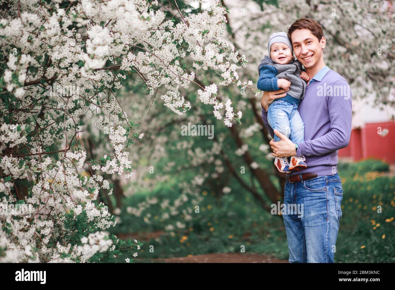 A father and a little boy are having fun near the cherry blossom trees ...