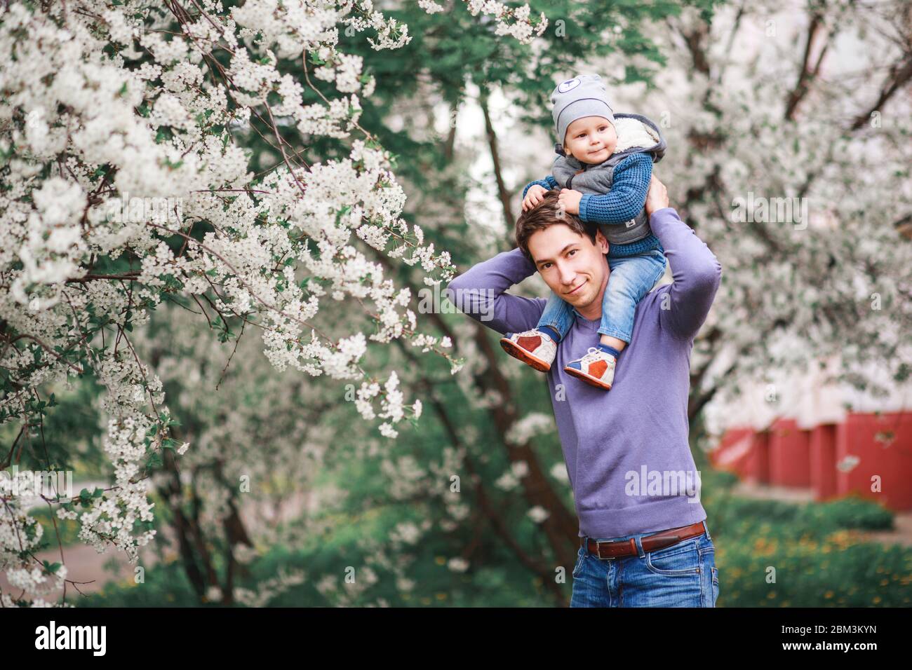 A father and a little boy are having fun near the cherry blossom trees ...