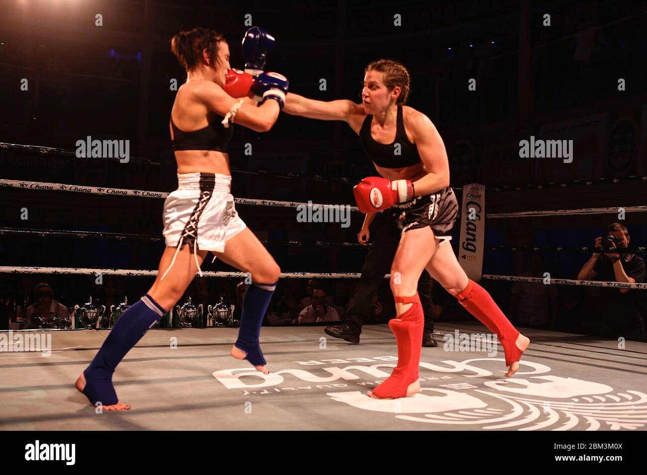 Muay Thai World Series National Chang Cup 2013. Championship involving ...