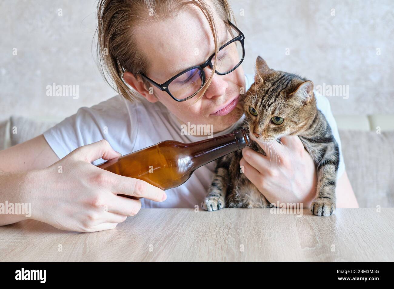 Alcoholic cat hi-res stock photography and images - Alamy