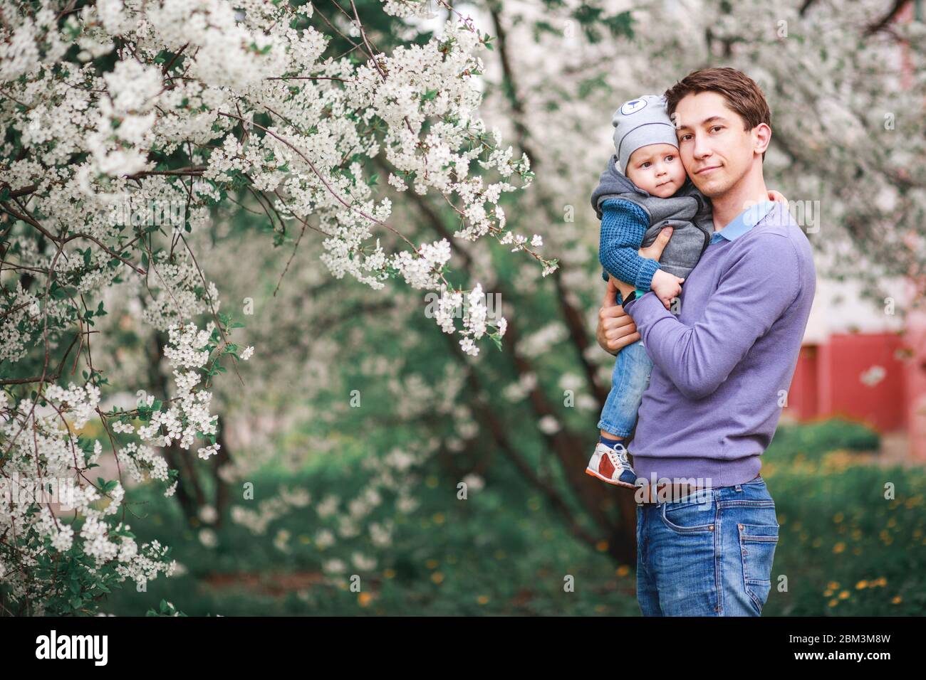 A father and a little boy are having fun near the cherry blossom trees ...
