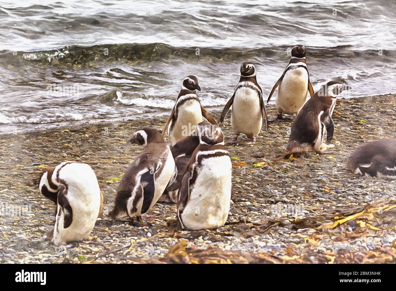 Magellanic Penguins colorful painting looks like picture Stock Photo ...