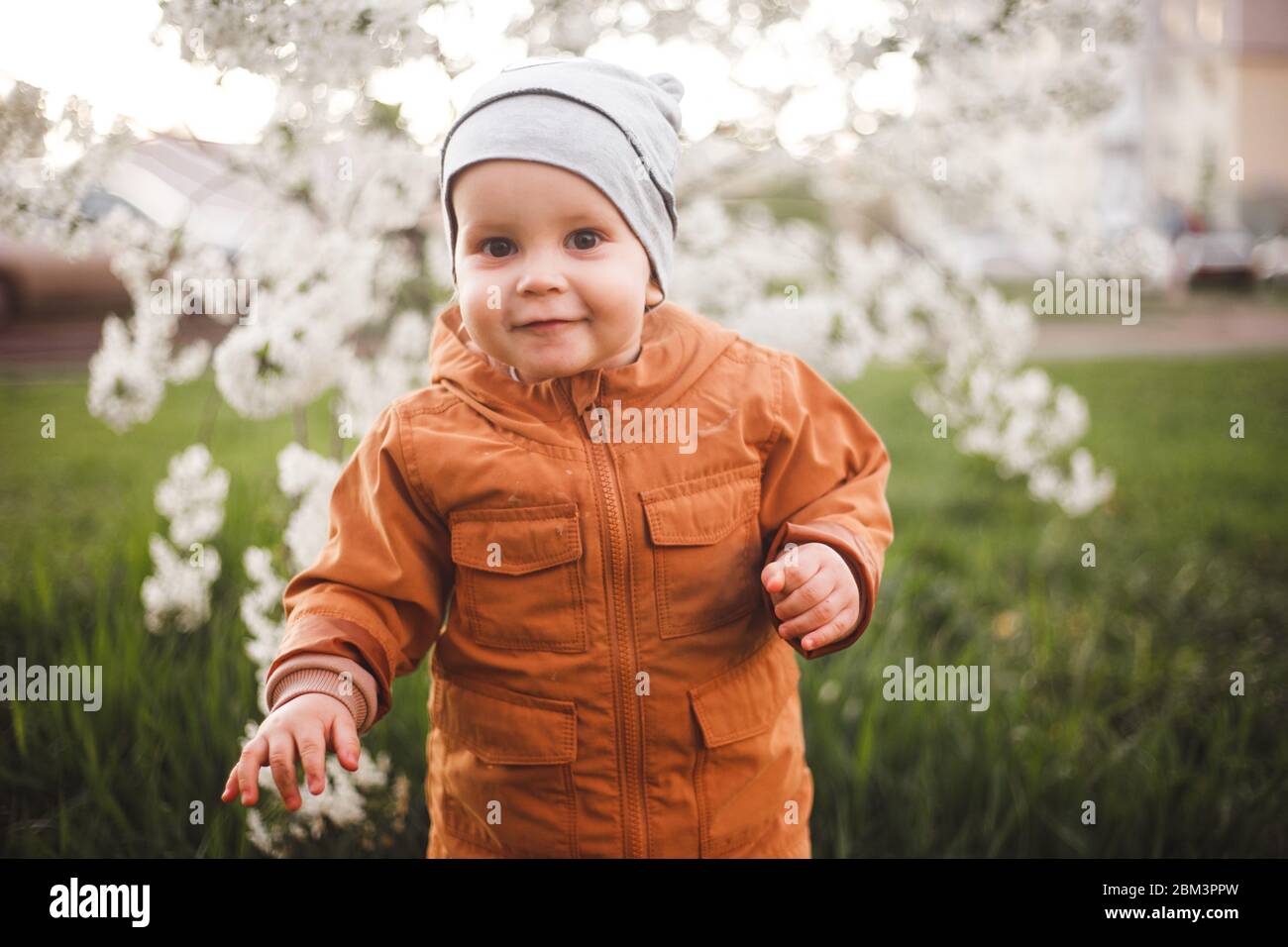 A boy walks in the garden with flowering trees. Spring breath Stock ...
