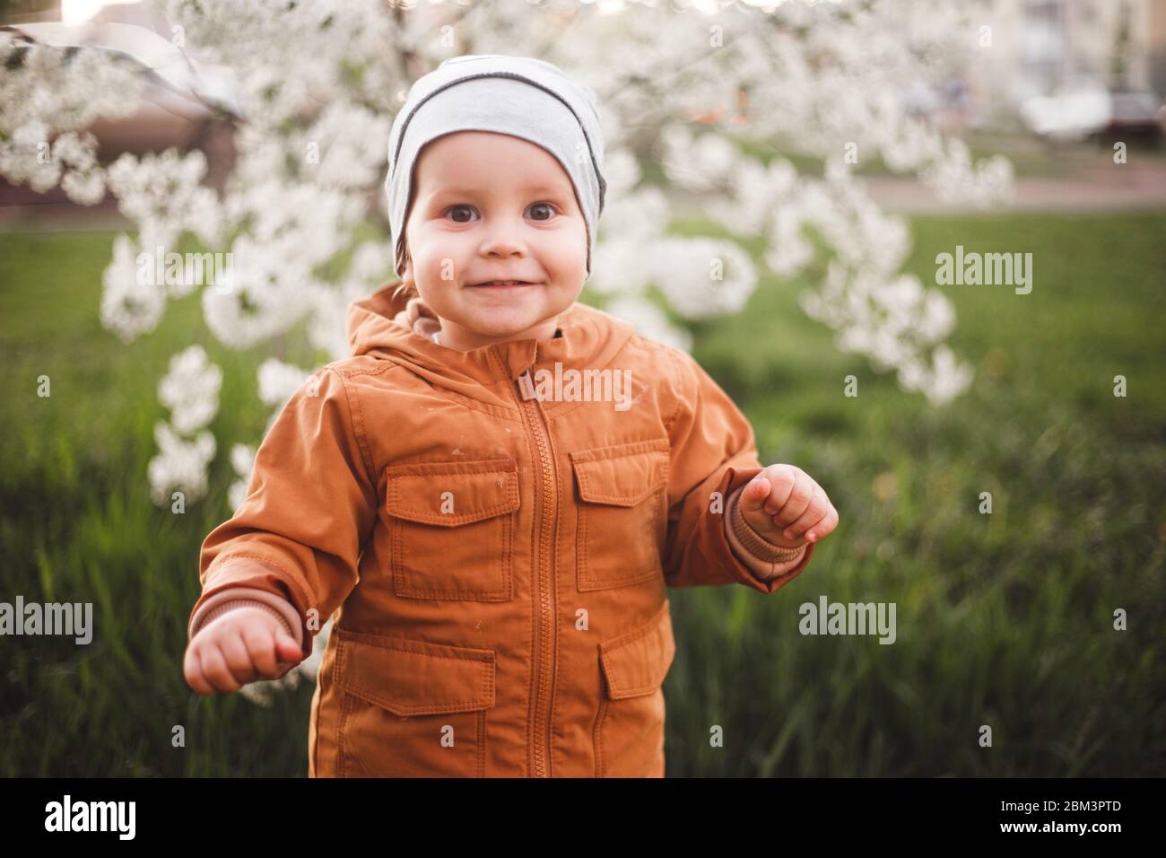 A boy walks in the garden with flowering trees. Spring breath Stock ...