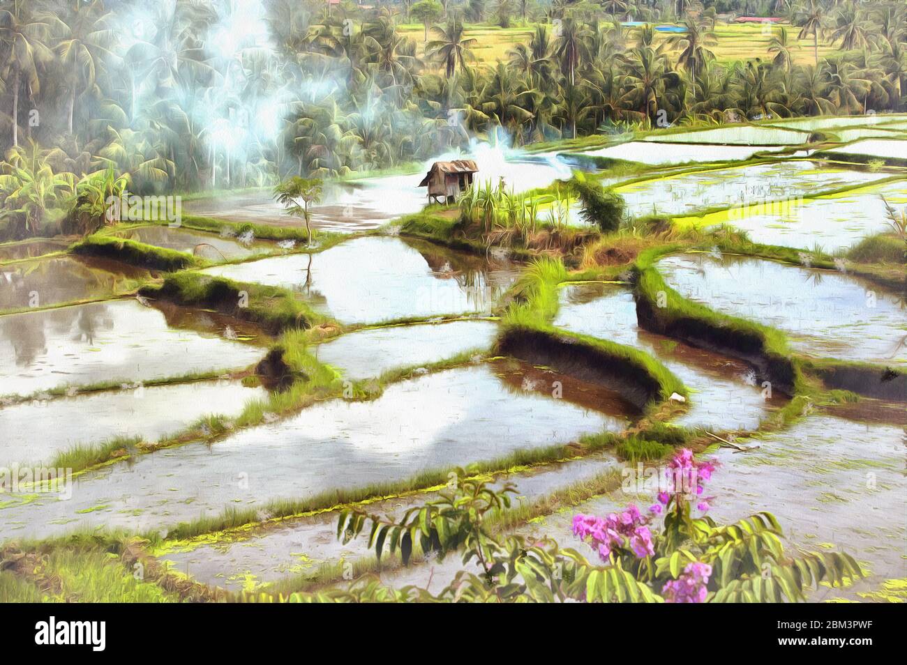 Rice field terrace agriculture colorful painting looks like picture ...