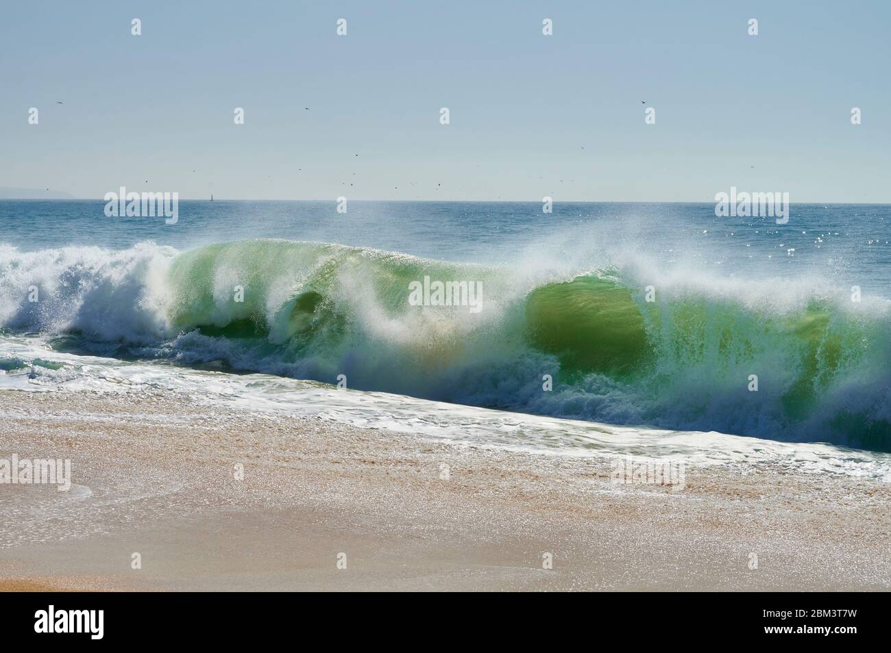 atlantic green waves crashing on the beach at north beach, Nazaré Stock ...