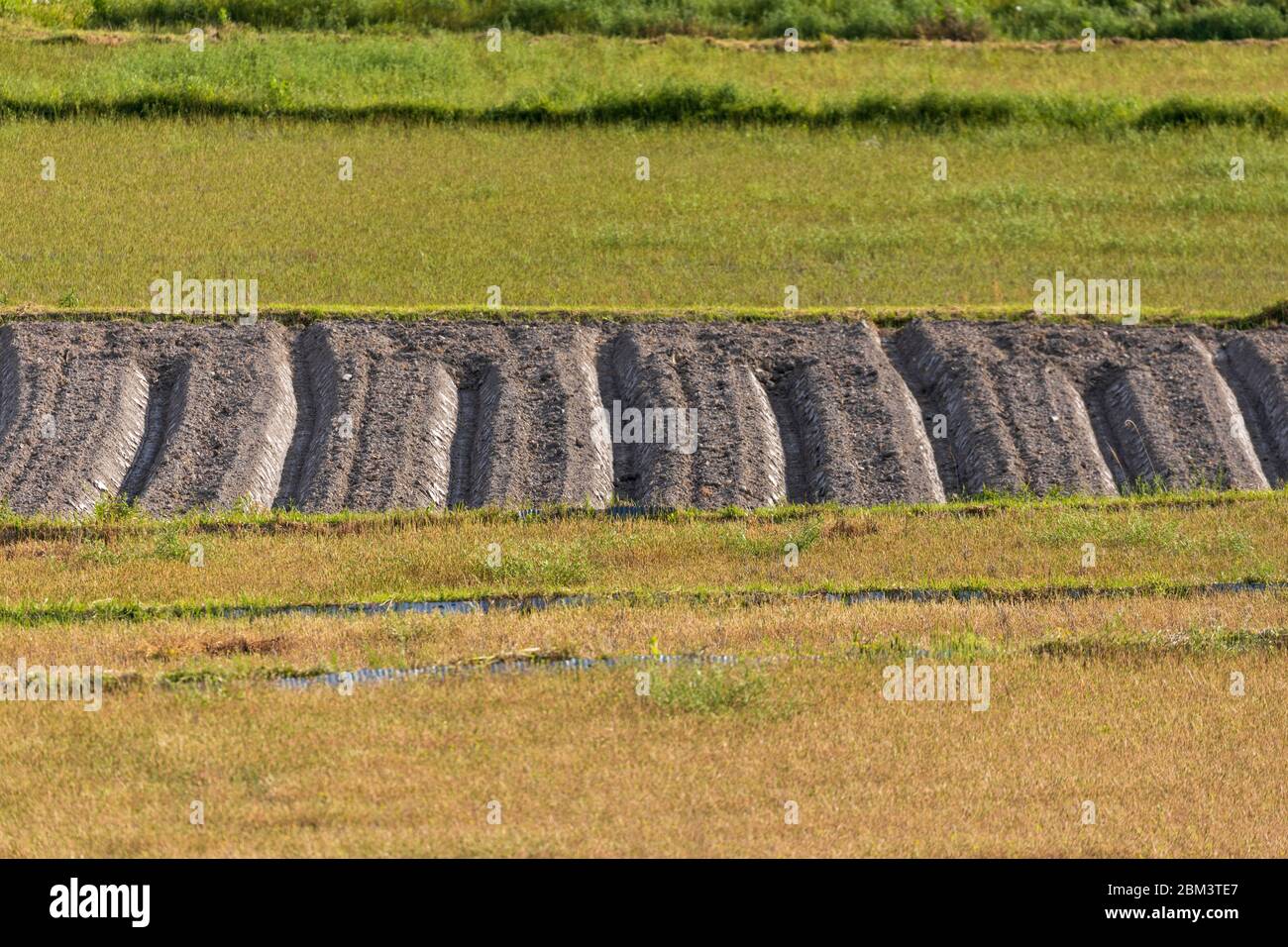 Empty crop rows hi-res stock photography and images - Alamy