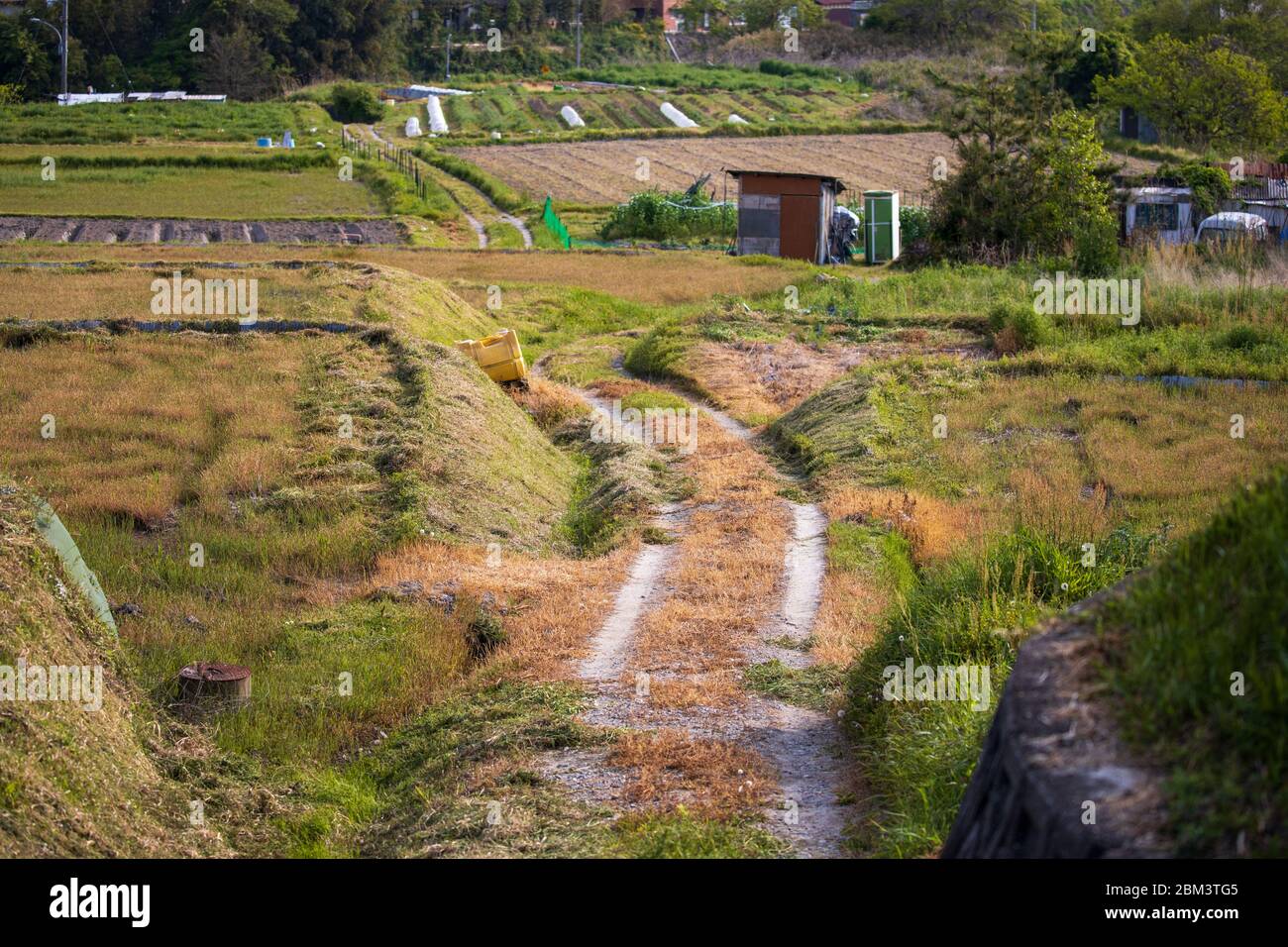 Dirt road through empty fields in Japanese farmland Stock Photo - Alamy