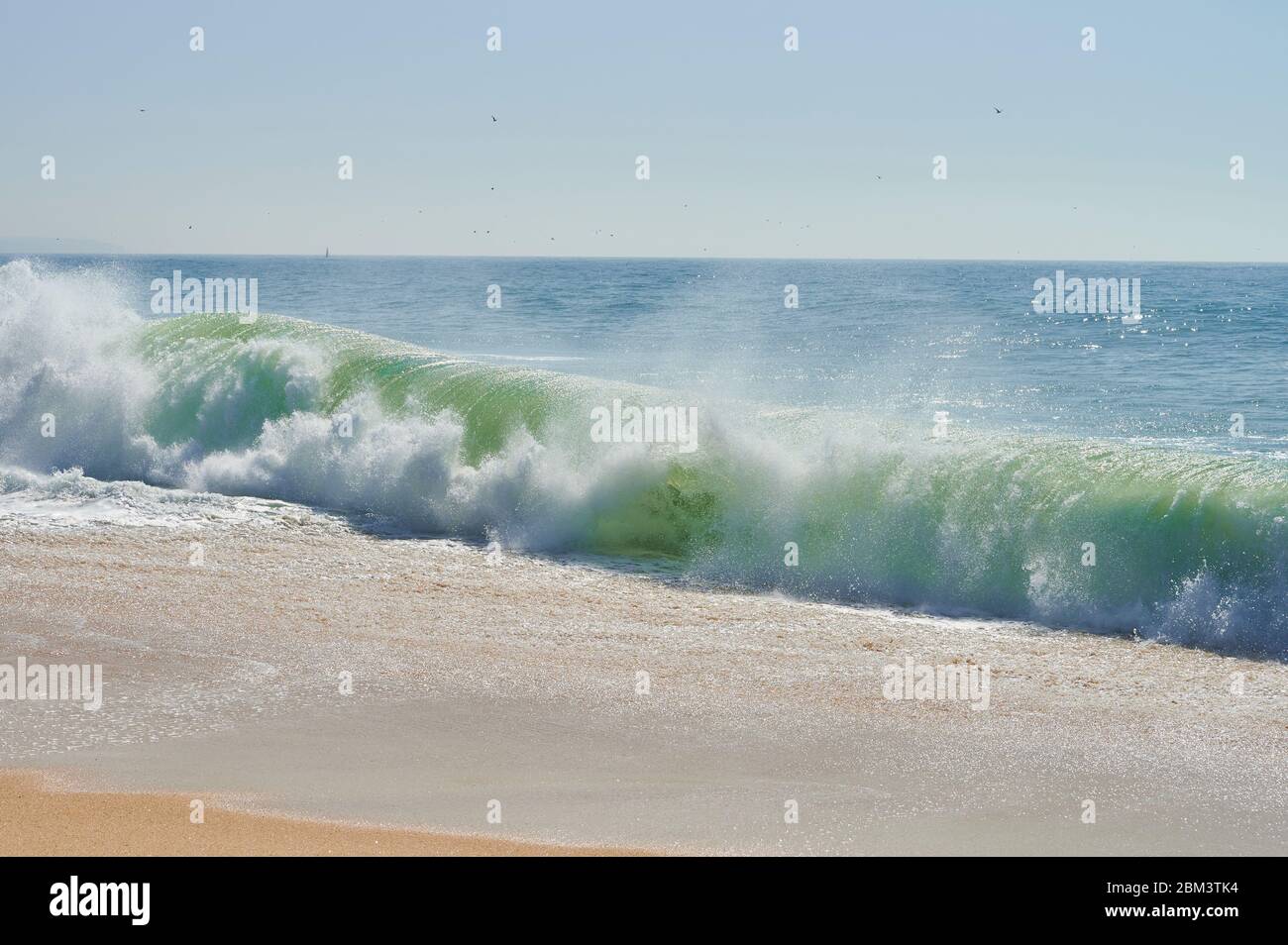 atlantic green waves crashing on the beach at north beach, Nazaré Stock ...