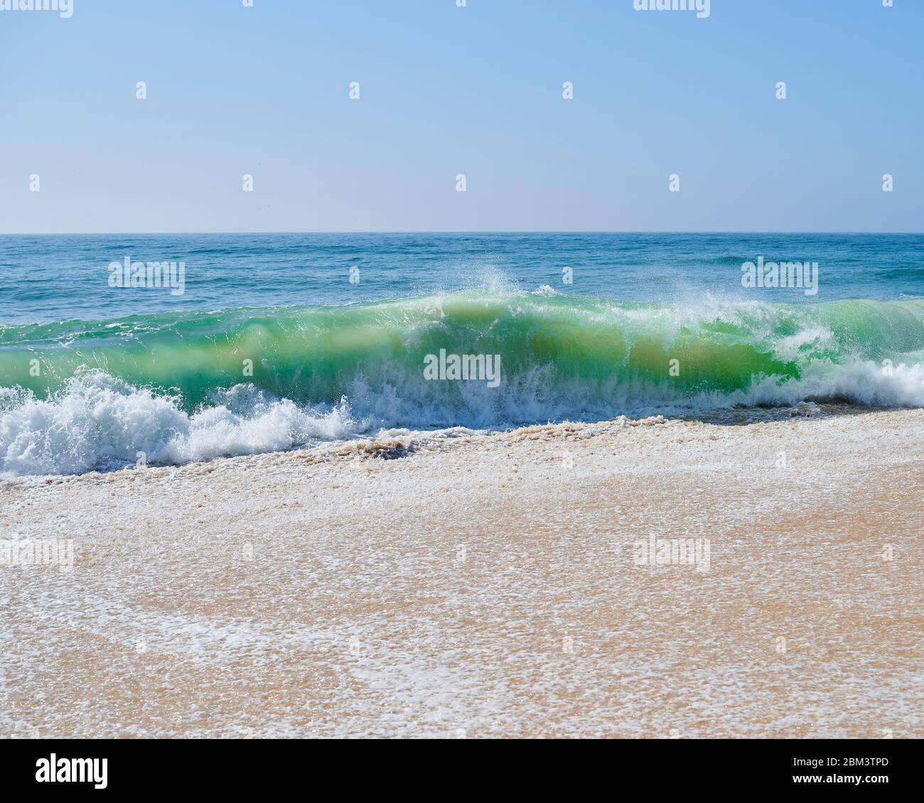 atlantic green waves crashing on the beach at north beach, Nazaré Stock ...