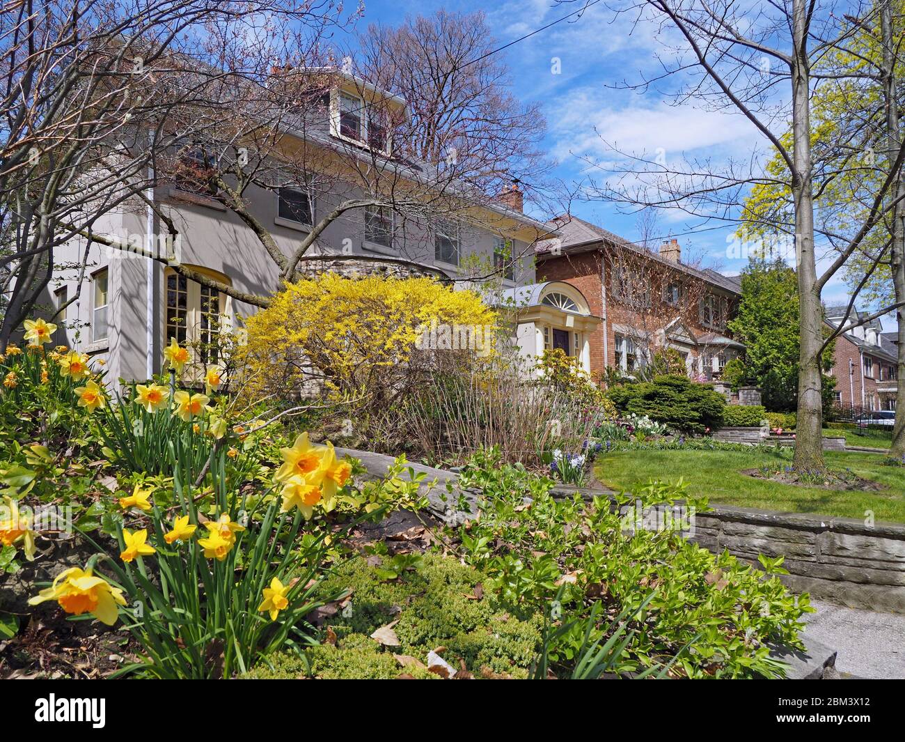 Street of large traditional detached homes with front yards with spring ...