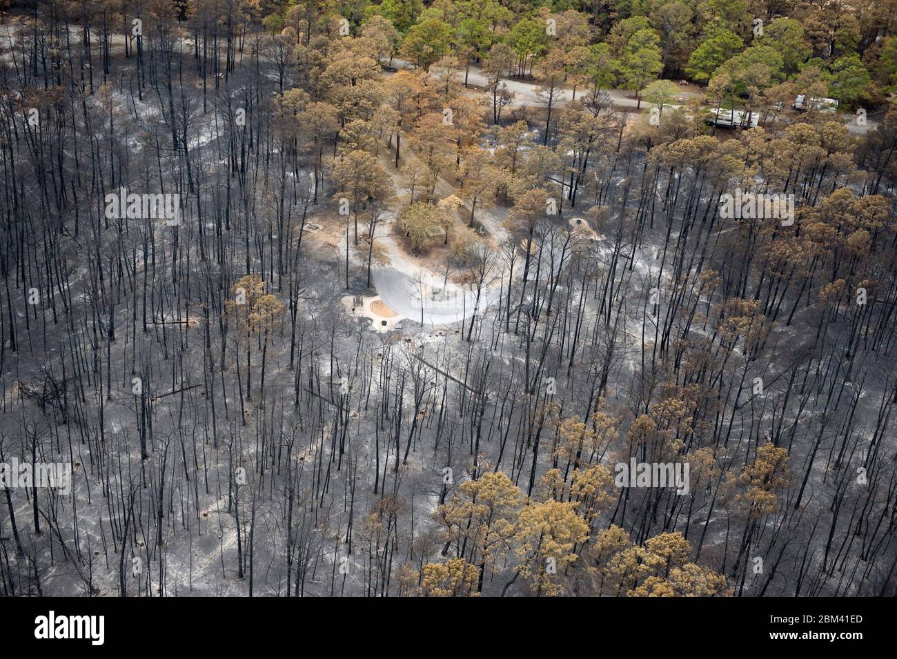Bastrop County Texas USA, September 2011: Damage to the forest and ...