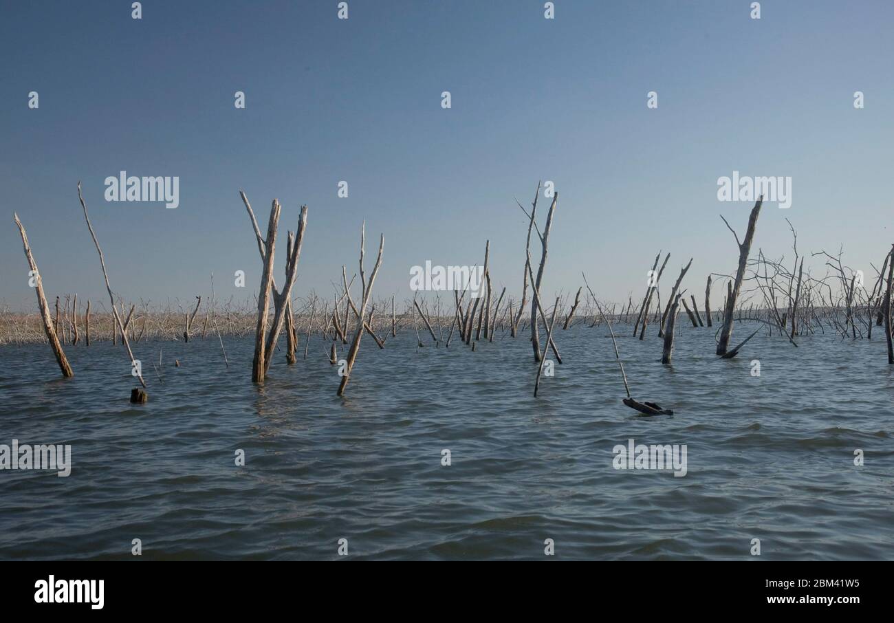 Falcon Lake Texas USA, November 2011: Low water levels caused by a ...