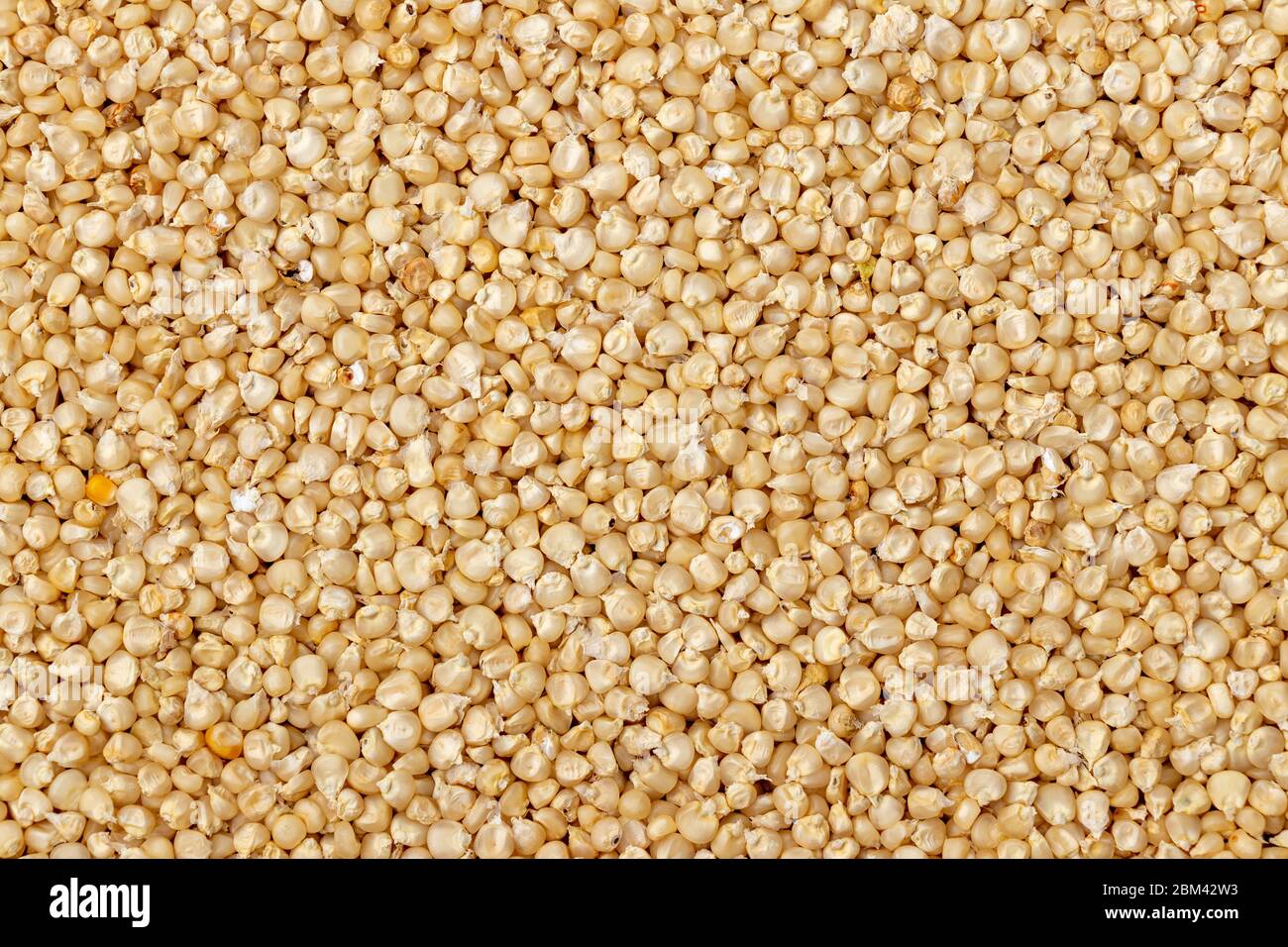 Corn seed texture hi-res stock photography and images - Alamy