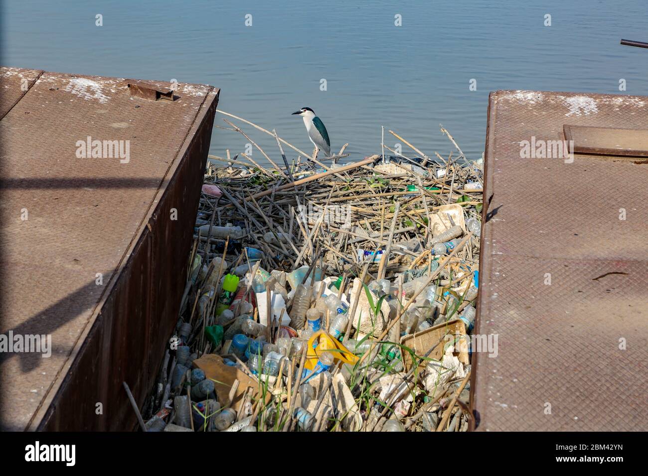 Baghdad, Iraq – April 4, 2020: photo for Tigris river in Baghdad city ...
