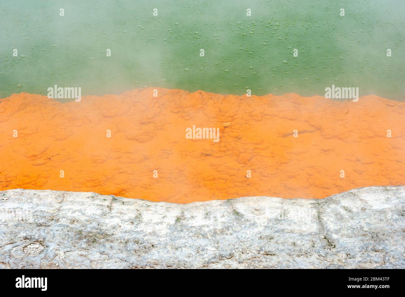 Tapu Bay New Zealand High Resolution Stock Photography and Images - Alamy