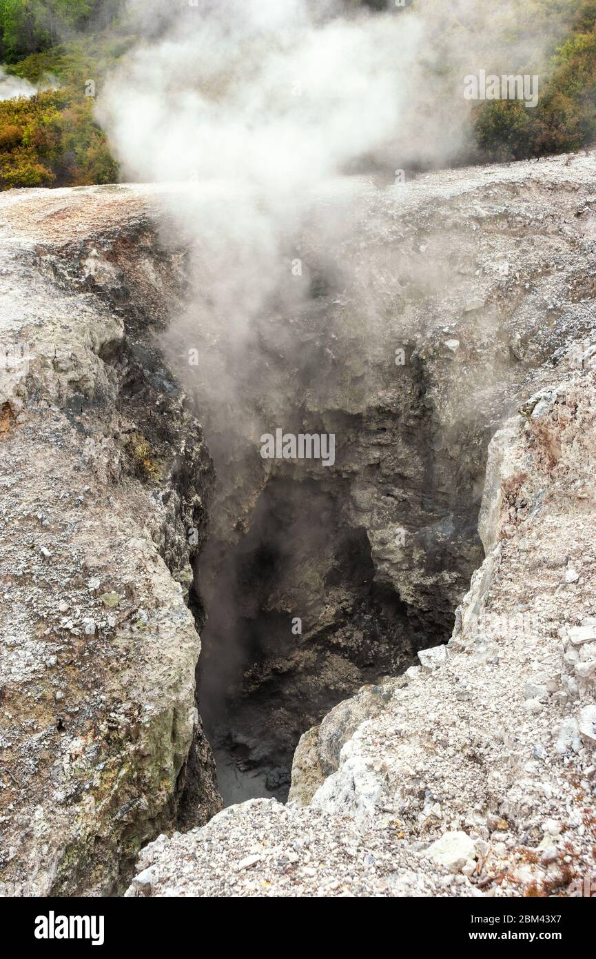 Tapu Bay New Zealand High Resolution Stock Photography and Images - Alamy
