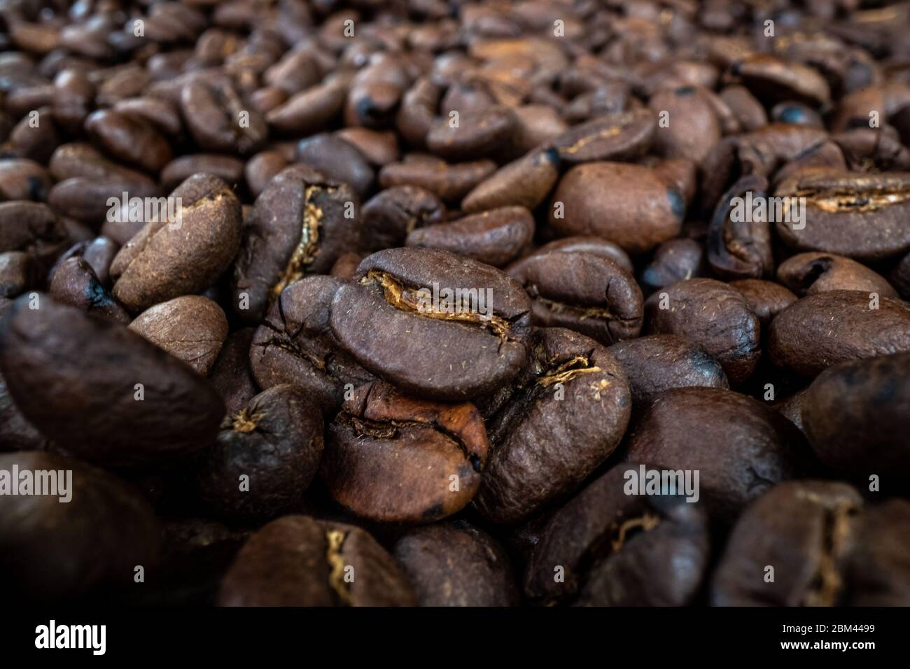 Pile of Roasted Coffee Beans spread across parchment paper Stock Photo ...
